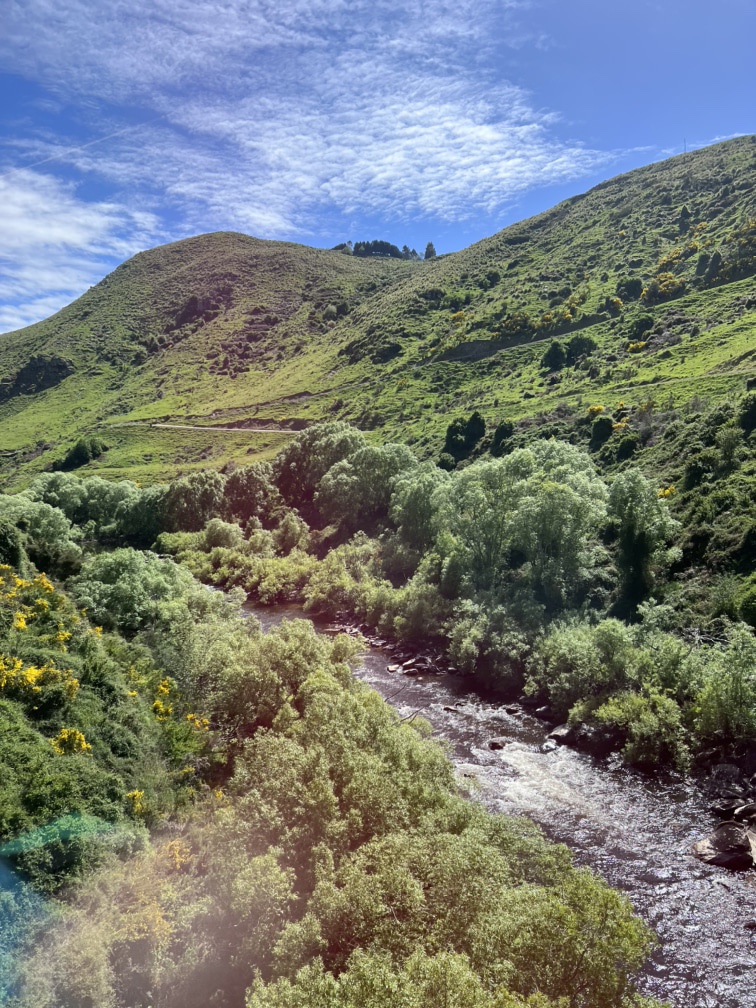 Train to the Taieri River Gorge – Writer on Deck