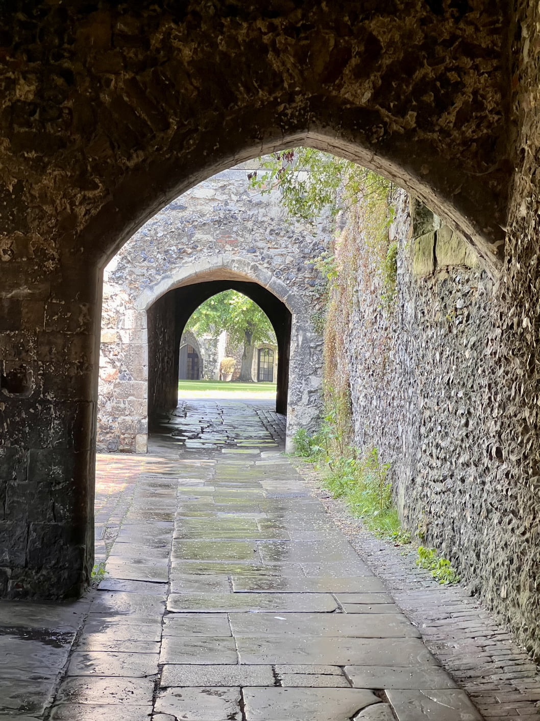 fullsizerender(7)-compressed-1 – Writer on Deck