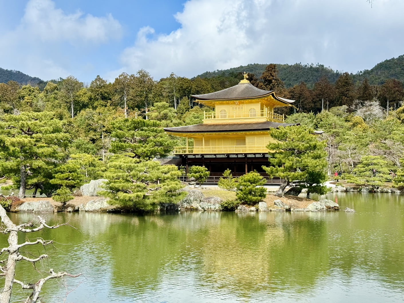 fullsizerender(18)-compressed-1-2 – Writer on Deck